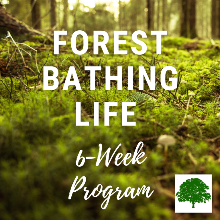 Top 10 Forest Bathing Books Recommended by Certified Guides