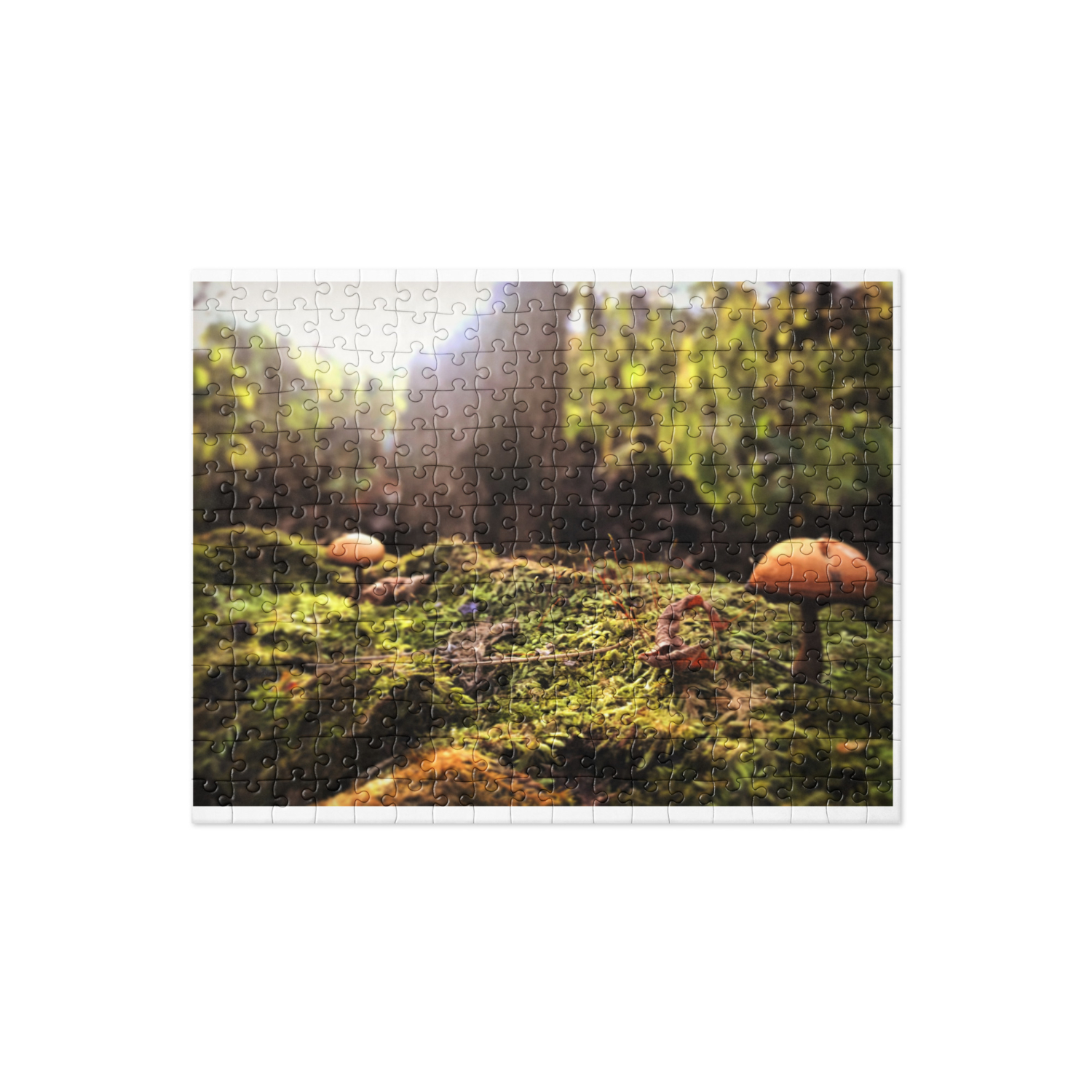 Forest Floor Jigsaw Puzzle - Nature Connection Guide